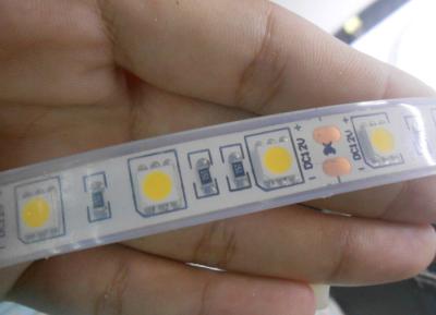 Cina IP68 12v 5m 5050 luce di striscia di Rgb 300 SMD LED 16 - lume 18lm in vendita