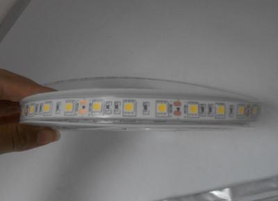 Cina I 5 metri ad alta intensità Ip68 hanno condotto la luce di striscia 12v 2700 - bianco caldo 3200k in vendita