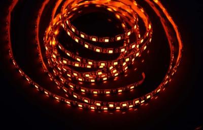 Cina Le lampade fluorescenti principali flessibili arancio 12v impermeabilizzano o Nonwaterproof disponibile in vendita