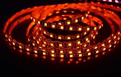 Cina Angolo d'apertura arancio 120° della luce di striscia del risparmio energetico SMD LED IP65 in vendita