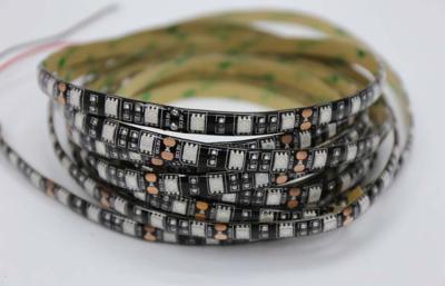 Cina L'alta luminosità Smd ha condotto la luce di striscia una lunghezza dei 3 tester con 3 anni di garanzia in vendita