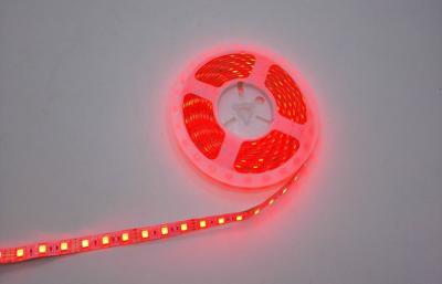 Cina Luce decorativa di colore LED di striscia del nastro flessibile vivo della luce 5050 LED in vendita