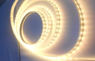 Cina La luce di strisce principale gialla blu rossa SMD 5050 ha condotto il materiale della luce di striscia FPC in vendita