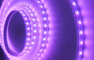 Cina Lato impermeabile FPC del doppio della metropolitana del silicone della striscia principale Rgb IP67 3 anni di garanzia in vendita
