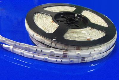 Cina I 12 volt luminoso eccellente il LED IP20 300SMD RGB hanno condotto l'approvazione di RoHS del CE della luce di striscia in vendita