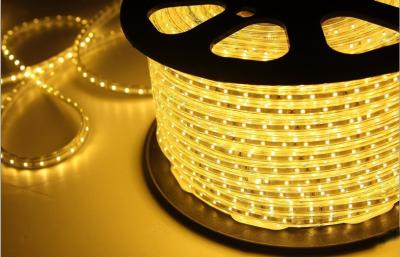 Cina Lampade fluorescenti di AC110 V /AC 220V 3528 SMD LED, Epistar economizzatore d'energia RGB IP67 in vendita