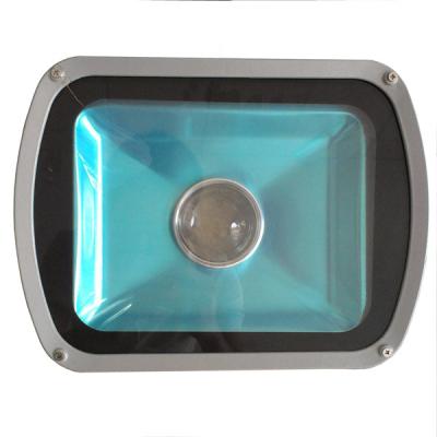 中国 AC220V 60 のワット黒または銀ハウジングとの防水 LED の洪水ライト/屋外の照明 販売のため