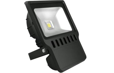 中国 AC120V は LED の洪水ライト 100W Bridgelux Meanwell 運転者を防水します 販売のため