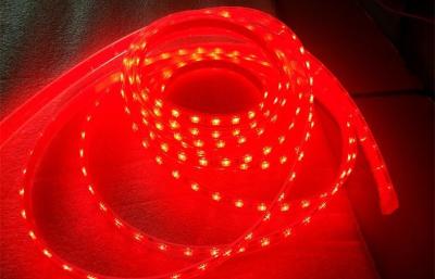 Cina Chip Superbright di SMD5050 60LED/M RGB con la metropolitana IP67 del silicone impermeabile in vendita
