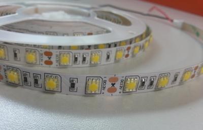 Cina Striscia flessibile trasparente di bianco SMD5050 60led/M LED 3 anni di garanzia in vendita