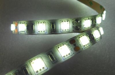 Cina Luminosità eccellente del chip 180 di IP20 6000K di vista della striscia flessibile trasparente di angolo SMD5050 LED in vendita