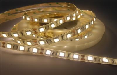 Cina Della striscia a pile del silicio IP65 colore LED SMD 5050 multi in vendita
