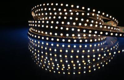 Cina Luce di striscia di IP20 SMD 3528 LED DC12V o striscia regolabile di 24V il TDC in vendita