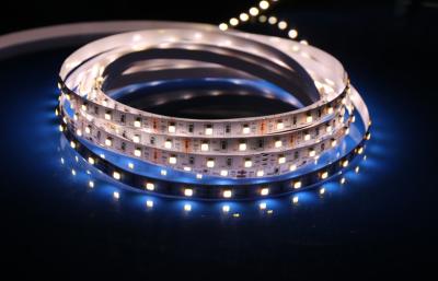 Cina Luminoso eccellente regolabile della striscia IP20 di SMD12v il TDC RGB LED per il baldacchino in vendita