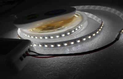 Cina Luci decorative DC12V o 24V della luce di striscia del risparmio energetico SMD LED in vendita