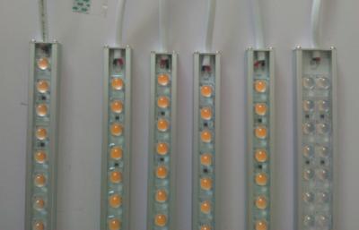 Cina 24v 4.3w ha condotto il risparmio energetico 18leds/m. di illuminazione di striscia 3 anni di garanzia in vendita