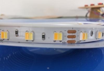 Cina 2700K - 6500K WW+CW IP20 120degree ha condotto la luce di striscia flessibile 5050 in vendita