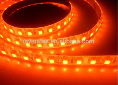 Cina la luce di striscia ambrata di 12v SMD LED 120leds/Meter impermeabilizza la certificazione di RoHS del CE in vendita