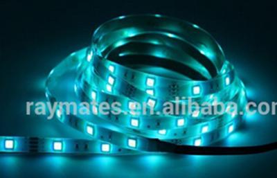 Cina 4 in 1 smd5050 rgbw 30leds/m multicolori hanno condotto la luce di striscia 7.2w/m per la decorazione di natale in vendita