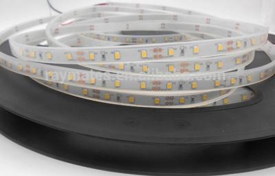 Cina Rendimento energetico all'aperto di resistenza 12V dell'acqua leggera della striscia di SMD LED in vendita