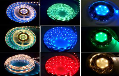 Cina Sorgenti luminose della luce di striscia di IP20 5050 SMD LED 60leds per metro in vendita