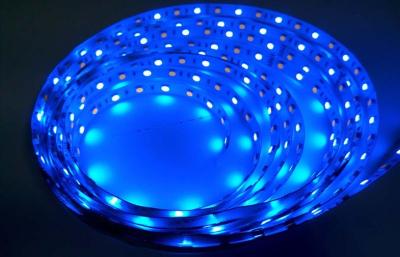 Cina Colori il rendimento energetico flessibile variabile della striscia SMD5050 RGB di IP20 LED in vendita