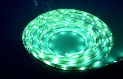 Cina Il CE flessibile RoHS della decorazione della striscia di colore LED di SMD5050 RGB ha certificato in vendita