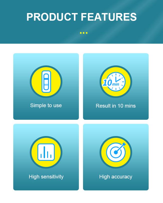 HIV Combo Test Kit components