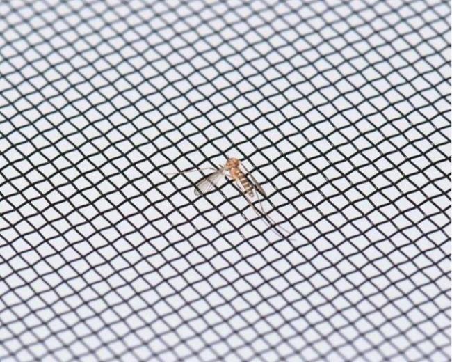 Maglia economica dello schermo della mosca di sicurezza di rinforzo della fabbrica per Windows 3