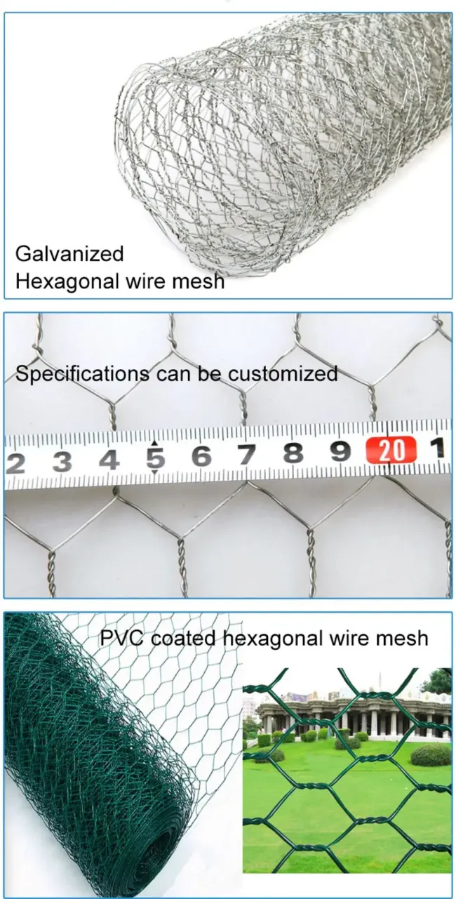 Hexagonal Wire Mesh 1/2 2 Inch Triple Twist Galvanized PVC Coated Hexagonal Wire Fence Chicken Net for for Chicken Coop