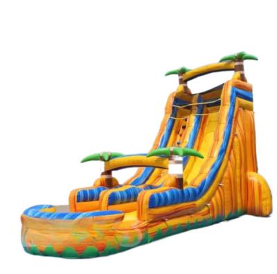 Giant Inflatable Water Slide , Large PVC Material Inflatable Slide Wild Rapids