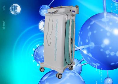 Cina Cavitazione di Cryolipolysis rf dello schermo a colori di tocco che dimagrisce macchina a casa in vendita