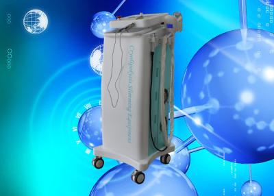 Cina Liposuzione Cryolipolysis del laser che dimagrisce macchina per il salone di bellezza in vendita
