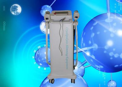 Cina Vuoto multifunzionale Cryolipolysis che dimagrisce CA 220V della macchina per la clinica in vendita