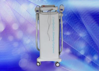Cina Cryolipolysis di congelamento grasso che dimagrisce impulso a macchina dell'attrezzatura 0.5-10s di bellezza in vendita