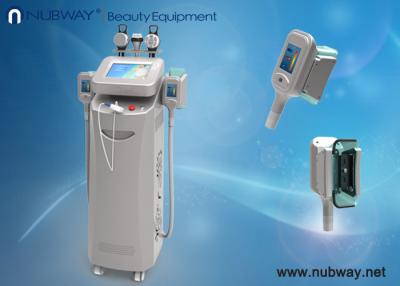 Cina Vuoto Cryolipolysis portatile che dimagrisce macchina per la clinica della pelle con lo schermo a colori di tocco in vendita