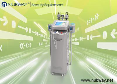 Cina Cryolipolysis portatile che dimagrisce macchina per la perdita del peso con il touch screen a 10.4 pollici in vendita