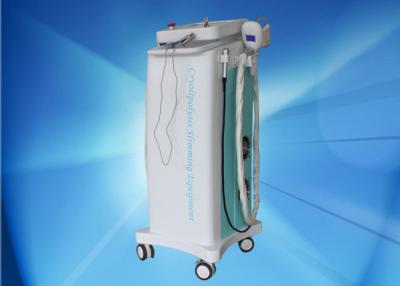 Cina 2MHZ rf Cryolipolysis che dimagrisce schermo a colori di tocco della macchina 10,4„ per Grasso-Congelarsi in vendita