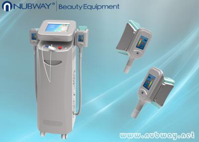 Cina Cellula grassa che perde Cryolipolysis che dimagrisce macchina, attrezzatura di bellezza di Cryolipolysis in vendita
