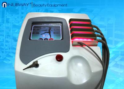 China laser de Lipo del diodo 650nm que adelgaza la máquina para el cuerpo que forma, 50Hz - 60Hz en venta