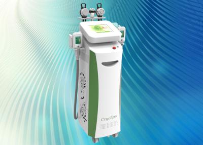 Cina Cryolipolysis multifunzionale che dimagrisce combustione a macchina del grasso di crioterapia in vendita