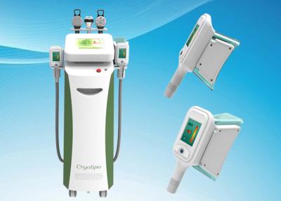 Cina Cryolipolysis verticale che dimagrisce vuoto a macchina di cavitazione di rf nel salone di bellezza in vendita