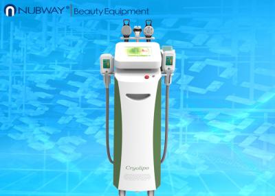 China Peso perdidoso Cryolipolysis que adelgaza las manijas del salón de belleza de la máquina 5 en venta