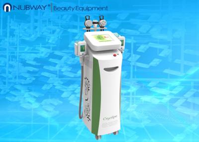 Cina Cavitazione rf Cryolipolysis di Zeltiq Coolsculpting che dimagrisce macchina 1000W per perdita di peso in vendita