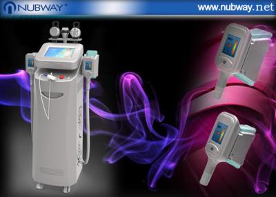 Cina Gelata grassa di Cryolipolysis della liposuzione a 2 pollici che dimagrisce macchina W 1800 in vendita