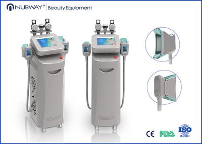 中国 ボディ細くのための多機能の Cryolipolysis のセルライトの処置機械垂直 販売のため