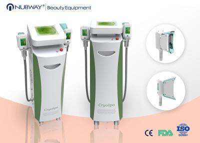 中国 装置、100Kpa Cryolipolysis の処置の美機械を細くする縦の Cryolipolysis 販売のため