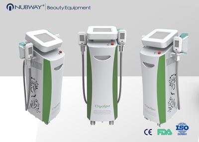 中国 美容師のための機械 AC 220V を細くする 10.4 インチ Cryolipolysis に掃除機をかけて下さい 販売のため