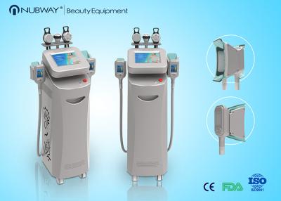 Cina Macchina di congelamento grassa verticale di Cryolipolysis con l'esposizione a 10.4 pollici di tocco di colore in vendita