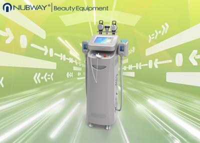 Cina Gelata grassa di Cryolipolysis di cavitazione ultrasonica di cinque maniglie che dimagrisce macchina per la modellatura del corpo in vendita